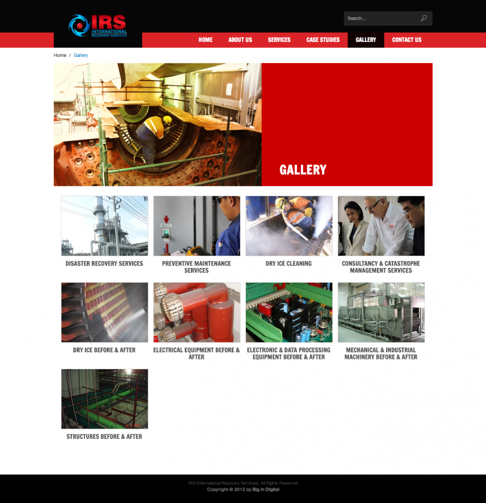 IRS - Erasys Consulting